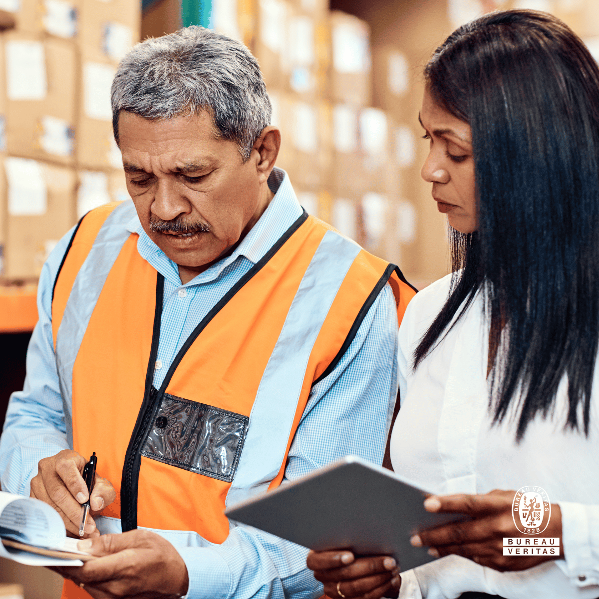 Auditor Interno ISO 28000:2022 Sistema de Gestión de la Seguridad en la Cadena de Suministro ...